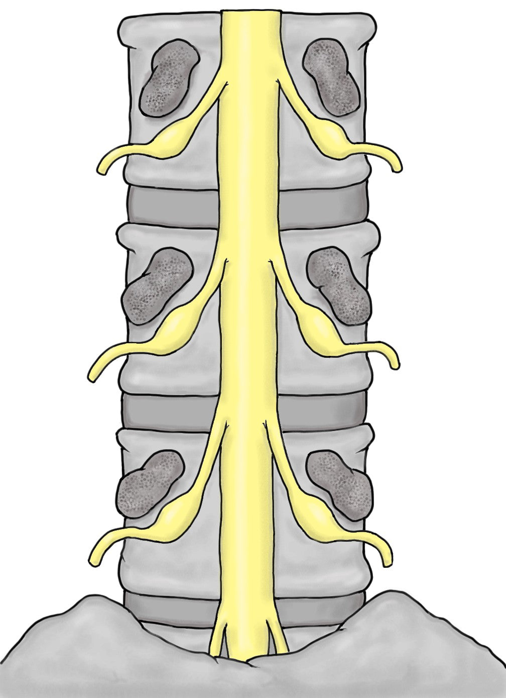 *That* nylon thread study. – Tom Jesson Books