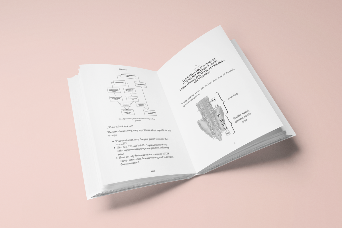 Cauda Equina Syndrome: The MSK Clinician's Guide – Tom Jesson Books